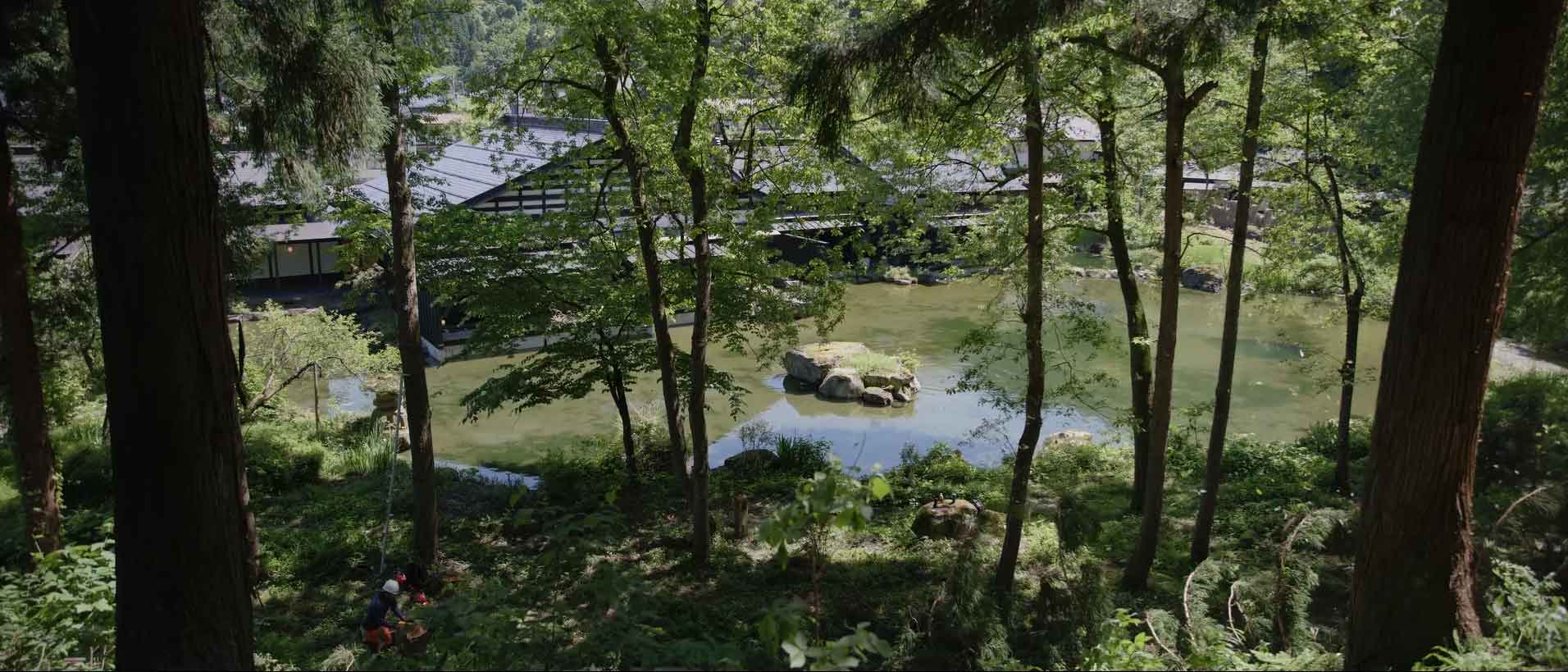 REGENERATIVE | ryugon EXPERIENCE