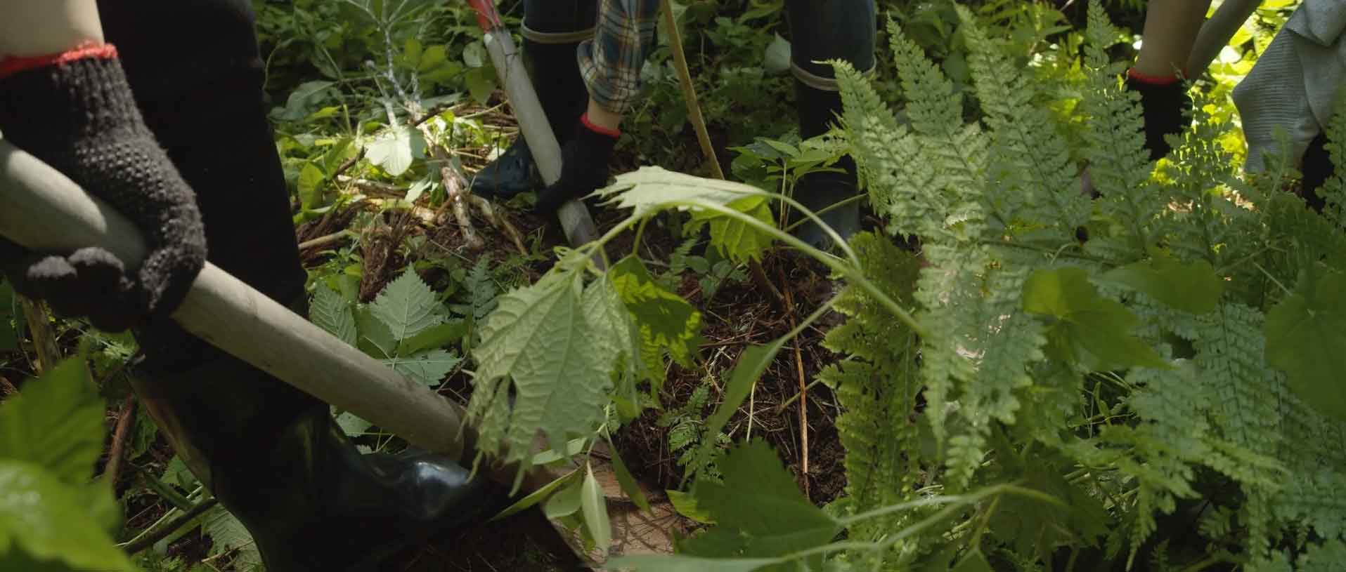 REGENERATIVE | ryugon EXPERIENCE