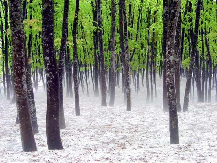 ryugonについて — ryugon｜雪国を感じる古民家ホテル